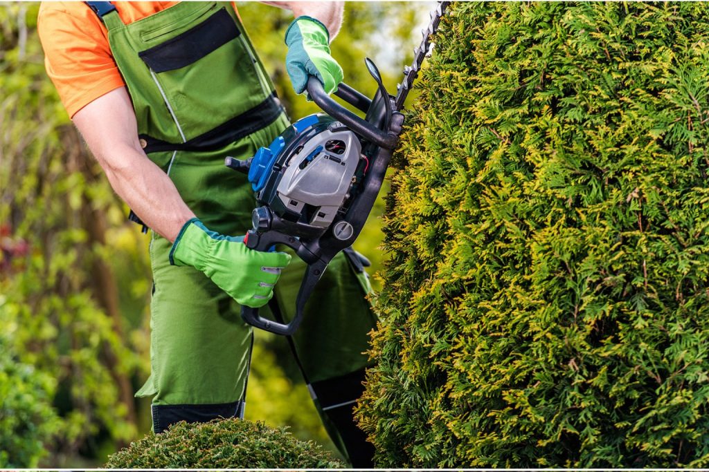 Save trees so that your future generations can see greenery.